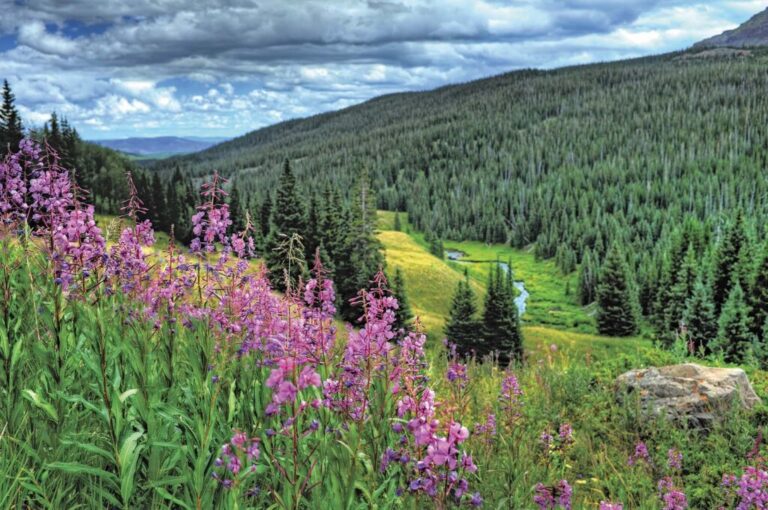 Best Vail Colorado Hiking Trails
