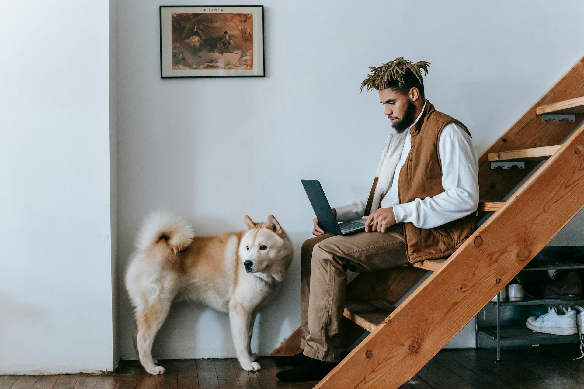 Traveling as a Digital Nomad with Dogs